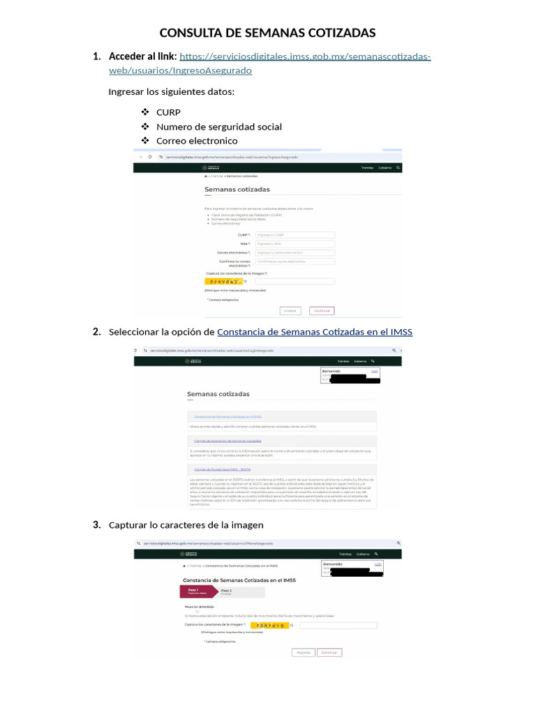Manual para Consulta de Semanas Cotizadas | PDF