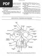 Extraoral Anatomical Landmarks Guide | PDF | Skull | Human Head And Neck
