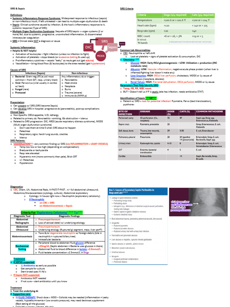 Ee - ECC SIRS & Sepsis - Enviromental ER - Transfusion-Medicine | PDF ...