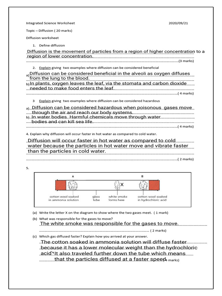 Edited - Saharah Ambrose - Integrated Science Diffusion Worksheet | PDF | Diffusion | Gases