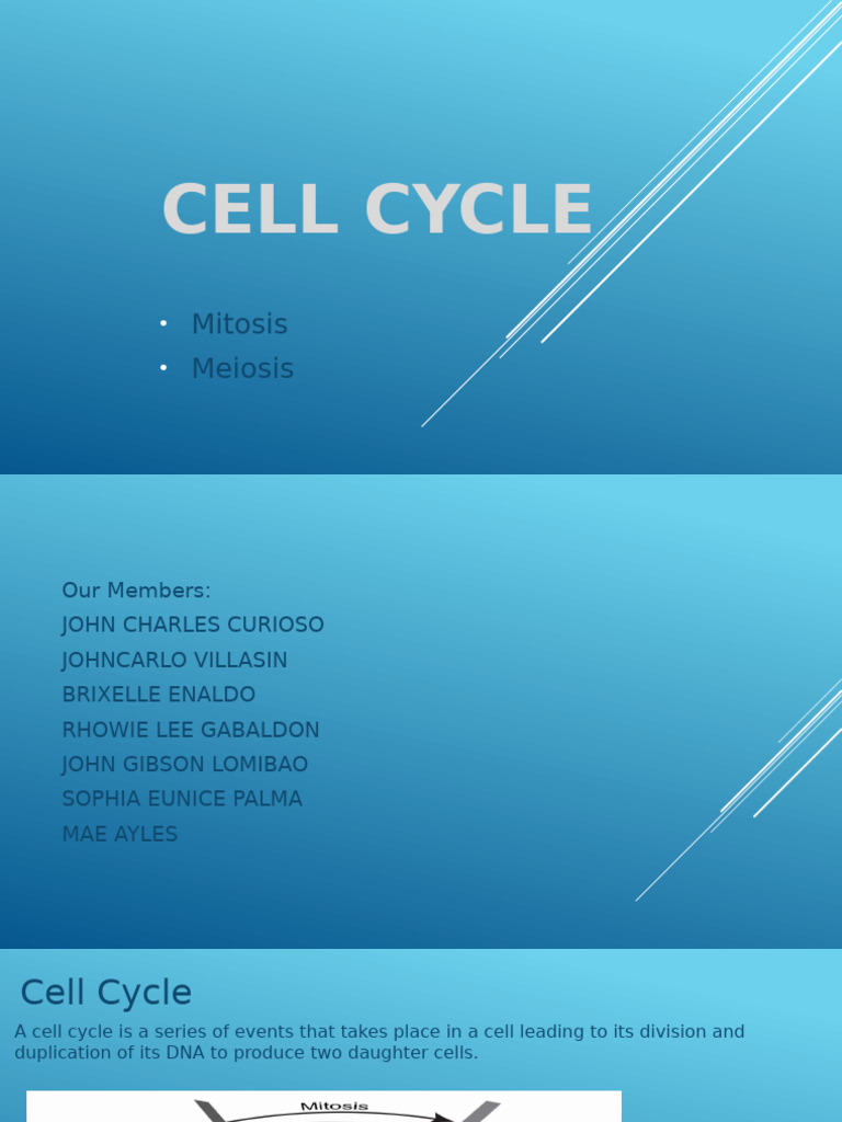 Understanding Cell Cycle: Mitosis & Meiosis | PDF | Meiosis | Mitosis