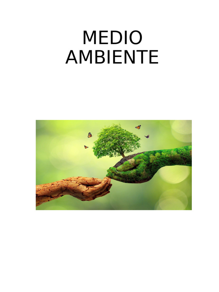 Mi Practica Diapositiva Allison | PDF