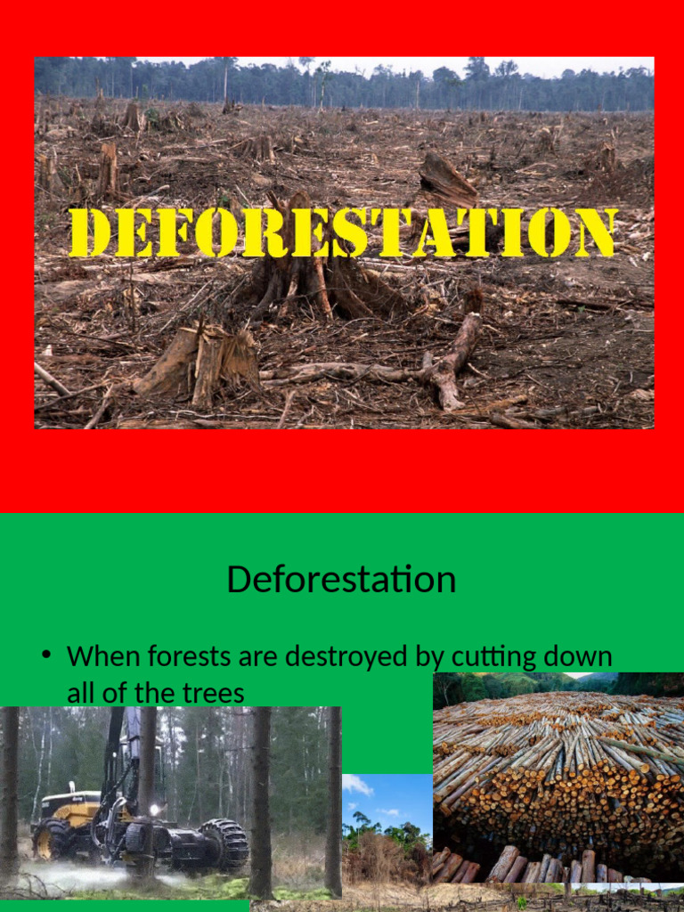 About Deforestation and Global Warming - 103493 | PDF | Rainforest ...