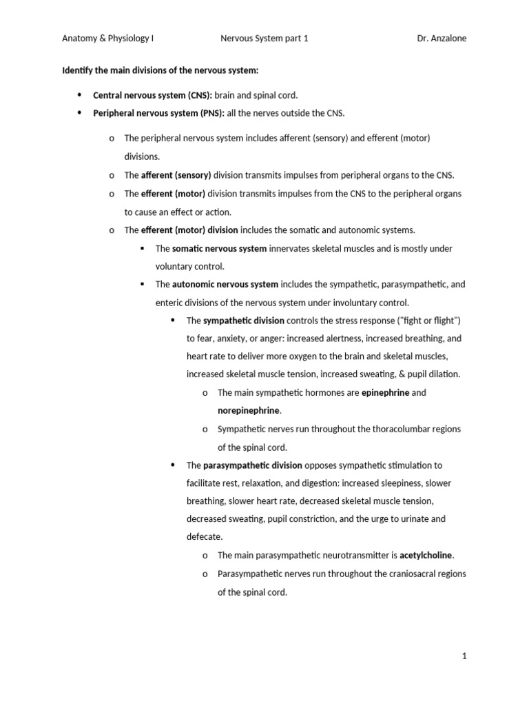 Nervous System Overview and Functions | PDF | Action Potential ...