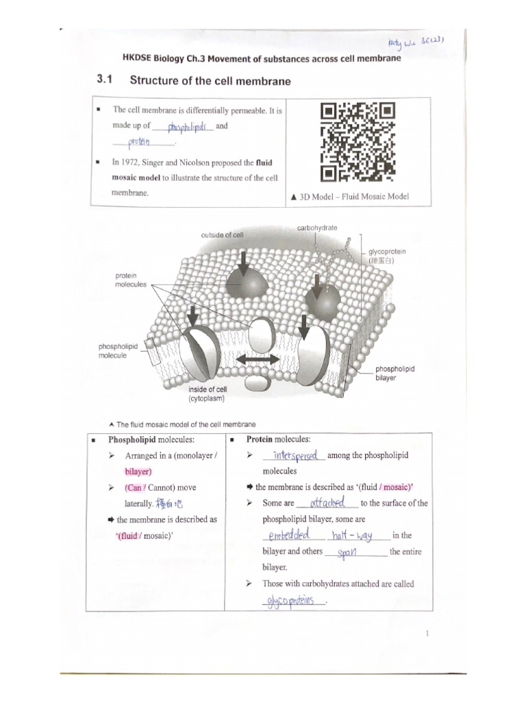HKDSE Biology Ch3 Movement of Substances Across Cell Membrane | PDF