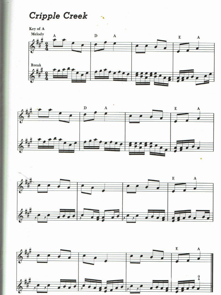 Teach Yourself Bluegrass Fiddle | PDF
