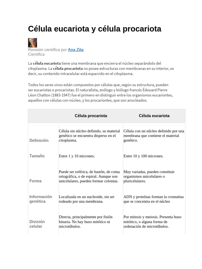 DIFERENCIAS Célula Eucariota y Célula Procariota | PDF | Biología Celular) | Plantas