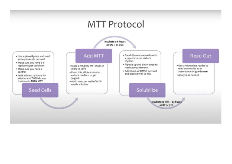 MTT Protocol Fig | PDF