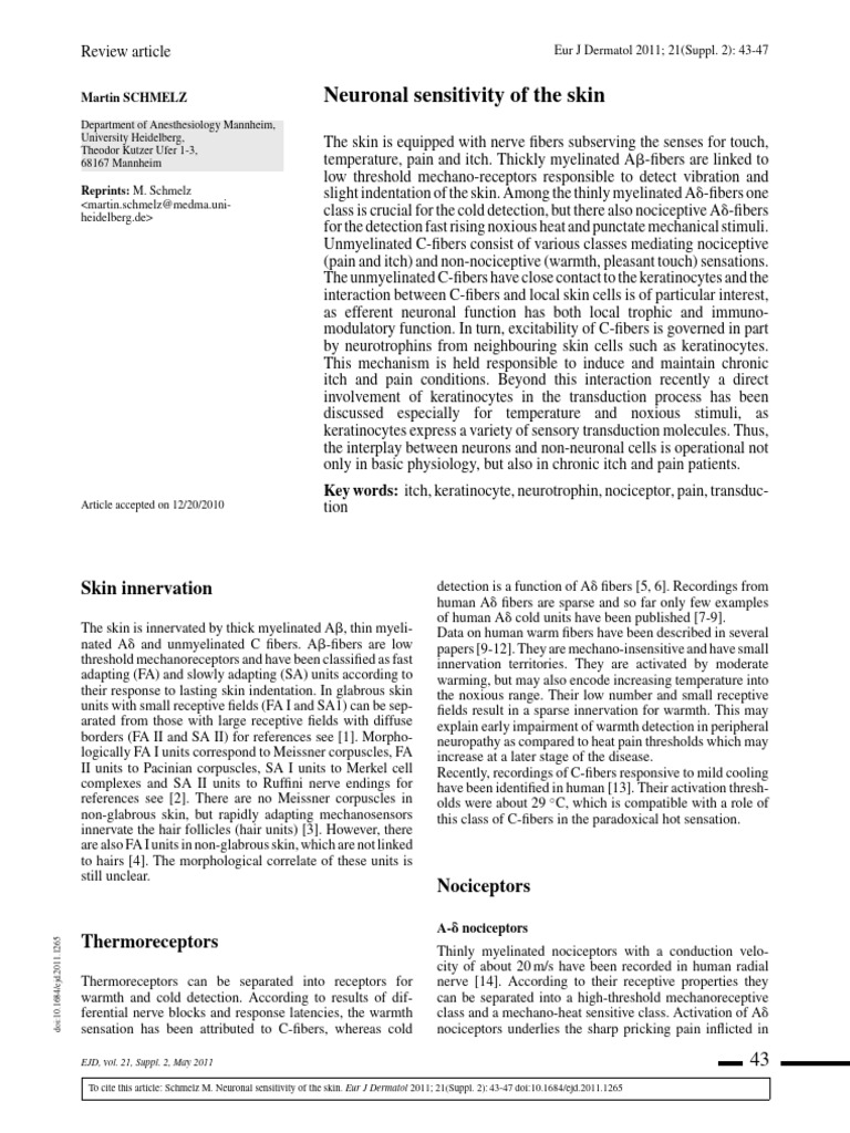 Neuronal Sensitivity of The Skin | PDF | Axon | Stimulus (Physiology)