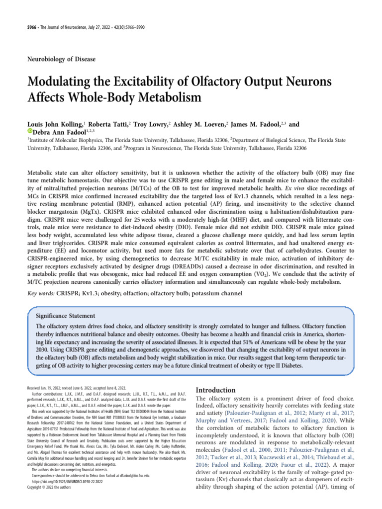 Modulating The Excitability of Olfactory Output Neurons Affects Whole ...