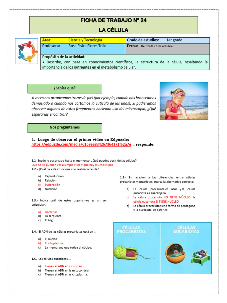 FICHA DE TRABAJO # 24 - LA CELULA - 1er GRADO | PDF | Biología Celular ...