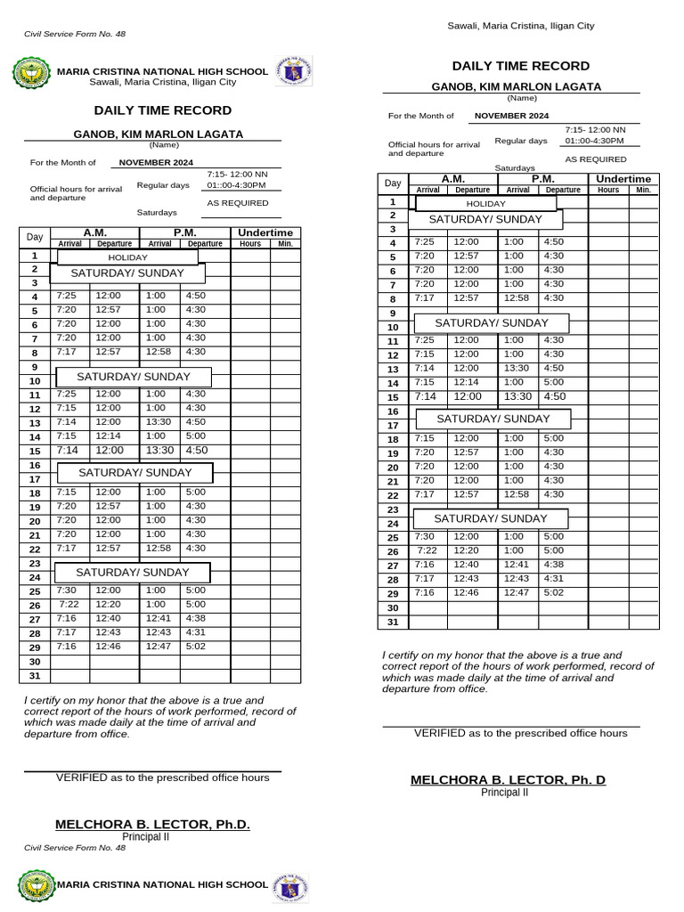 Dtr-Form November 2024 | PDF