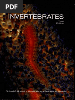 Toronto Notes Clinical Handbook | PDF