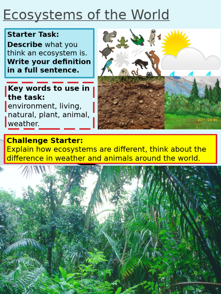 Ecosystems of The World | PDF