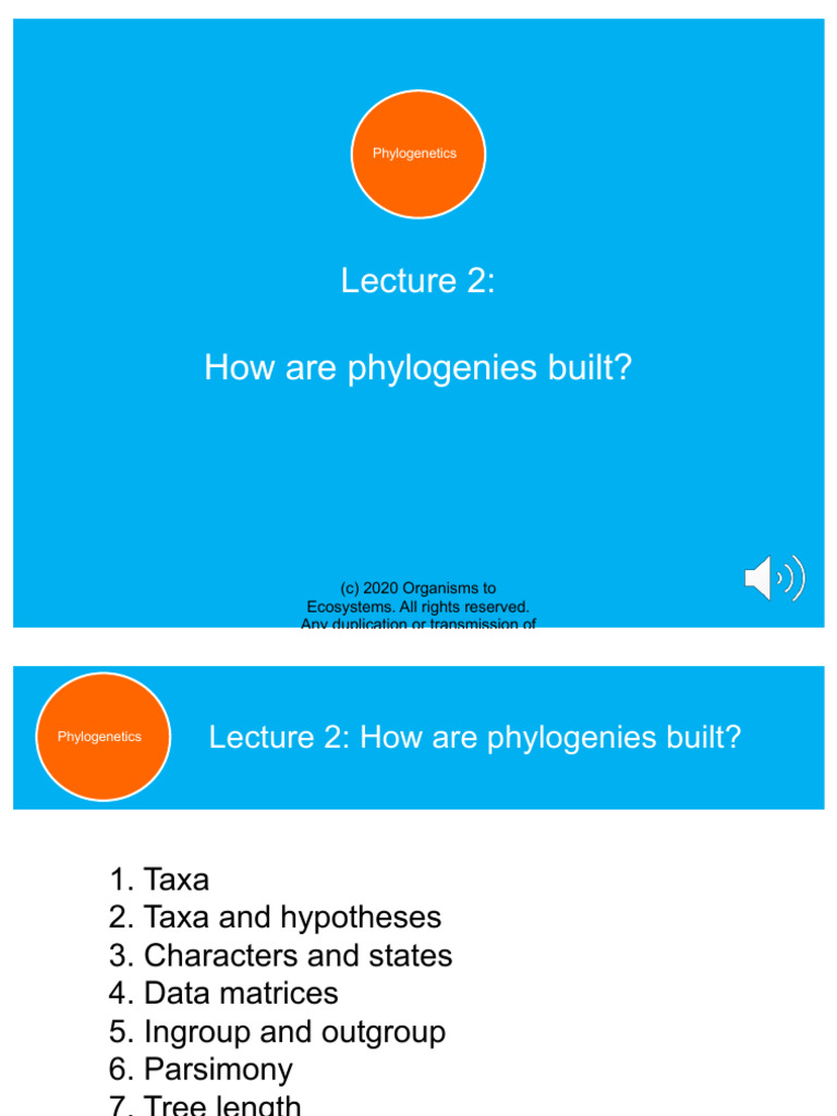 F20 Unit 4 Phylogeny Lecture 2 | PDF | Phylogenetics | Phylogenetic Tree