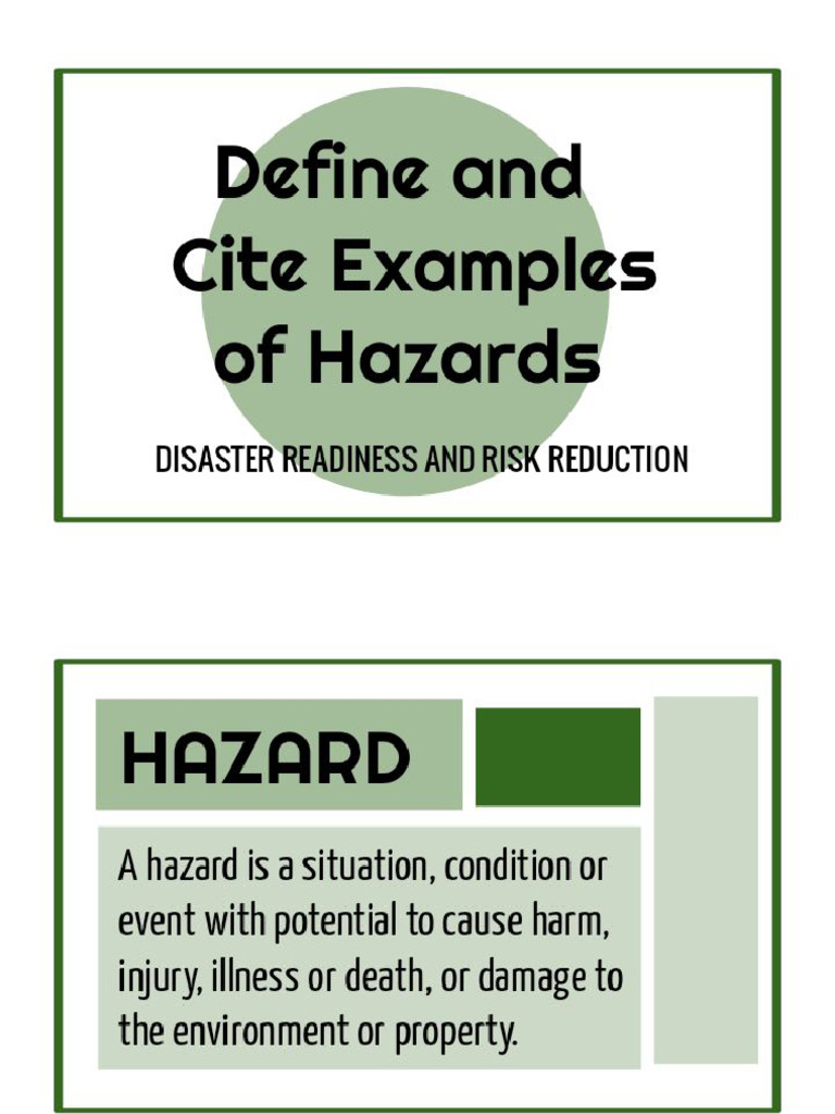 DRR Report | PDF