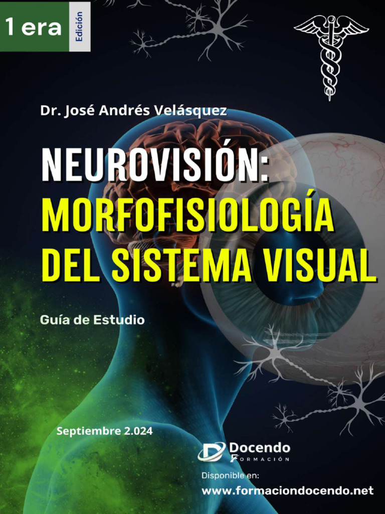 Ebook-Neurovision V2 | PDF | Percepción visual | Ojo humano