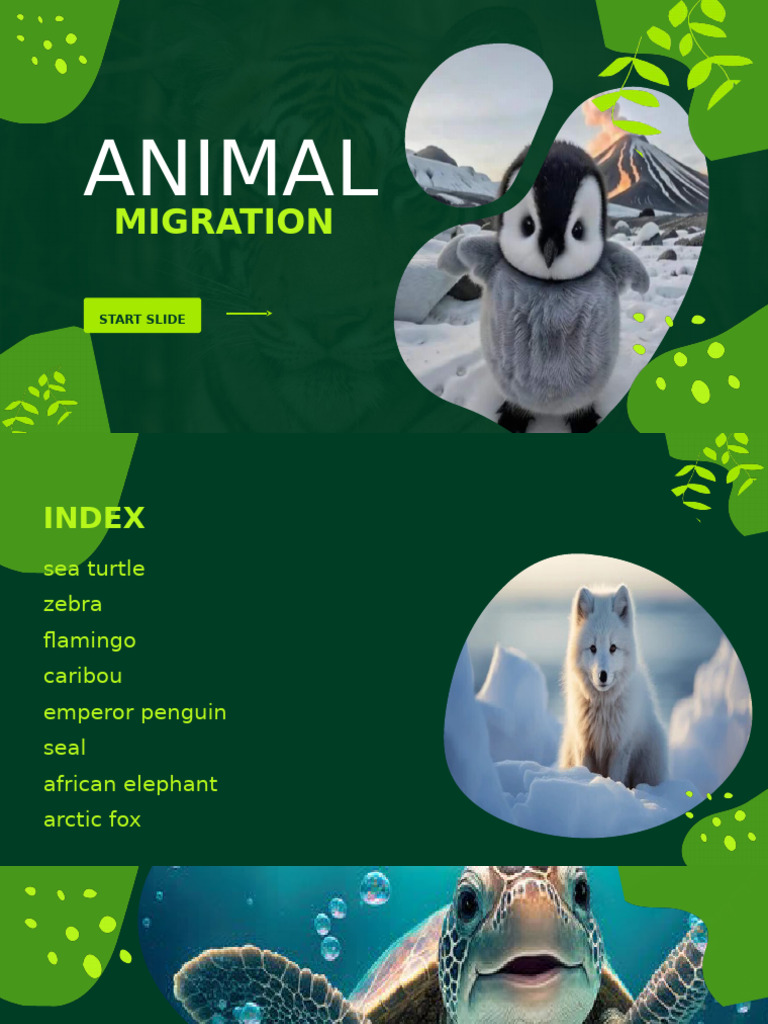 Animal Migration | PDF | Bird Migration | Pinniped