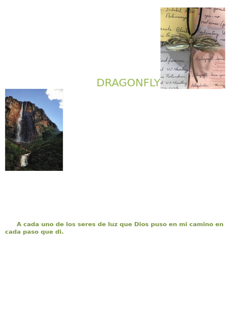 Dragonfly | PDF