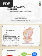 Anatomía y Fisiología Anorrectal | PDF | Recto | Sistema digestivo