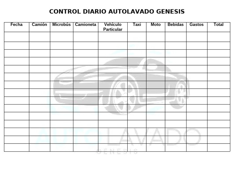 AUTOLAVADO | PDF