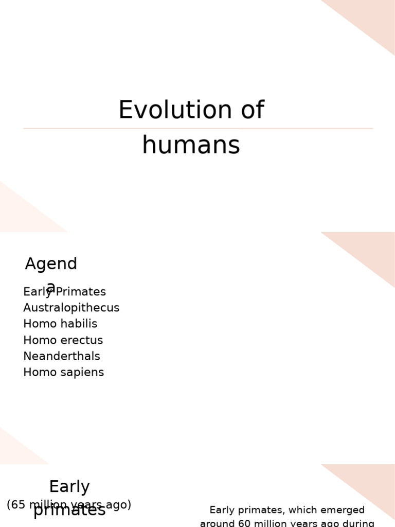 Human Evolution: Key Hominin Species | PDF | Homo | Human Evolution
