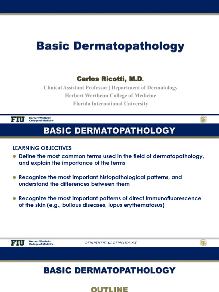 2. 01.02.24 MON Basic Dermatopathology. Dr. RICOTTI 2 | PDF | Epidermis ...