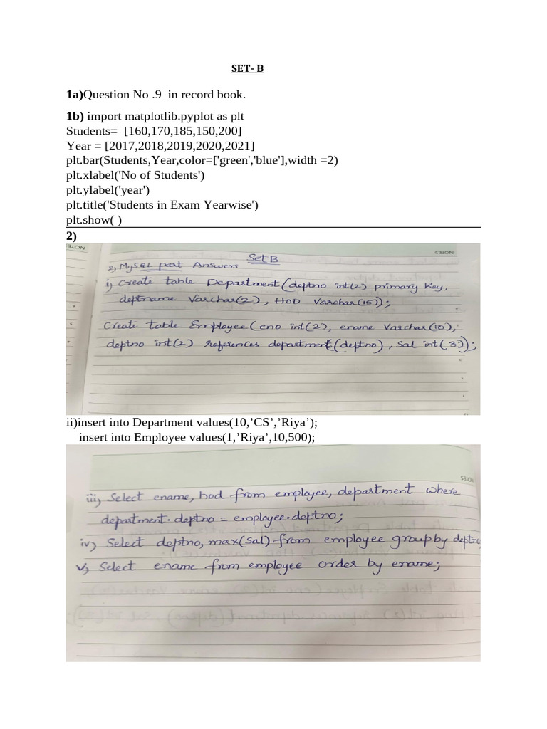IP PRACTICAL EXAM SET-B ANSWER KEY | PDF