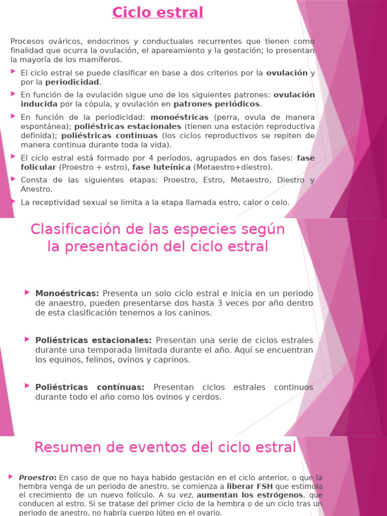 Ciclo Estral | PDF | Hormona luteinizante | Gonadotropina