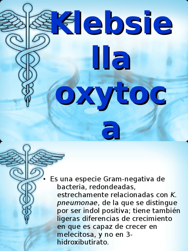 Klebsiella Oxytoca | PDF | Tecnología