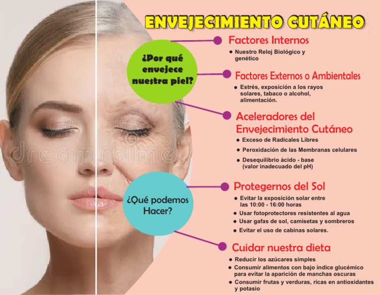 Envejecimiento Cutaneo | PDF