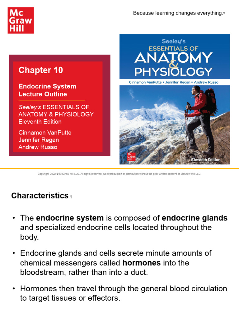 VanPutte Seeleys Essentials 11e Chap10 PPT Accessible | PDF | Pancreas | Adrenal Gland