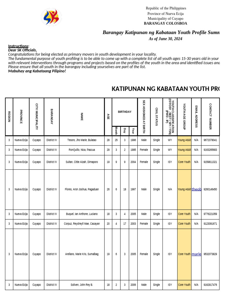KK Profiling District IV | PDF | Employment | Youth