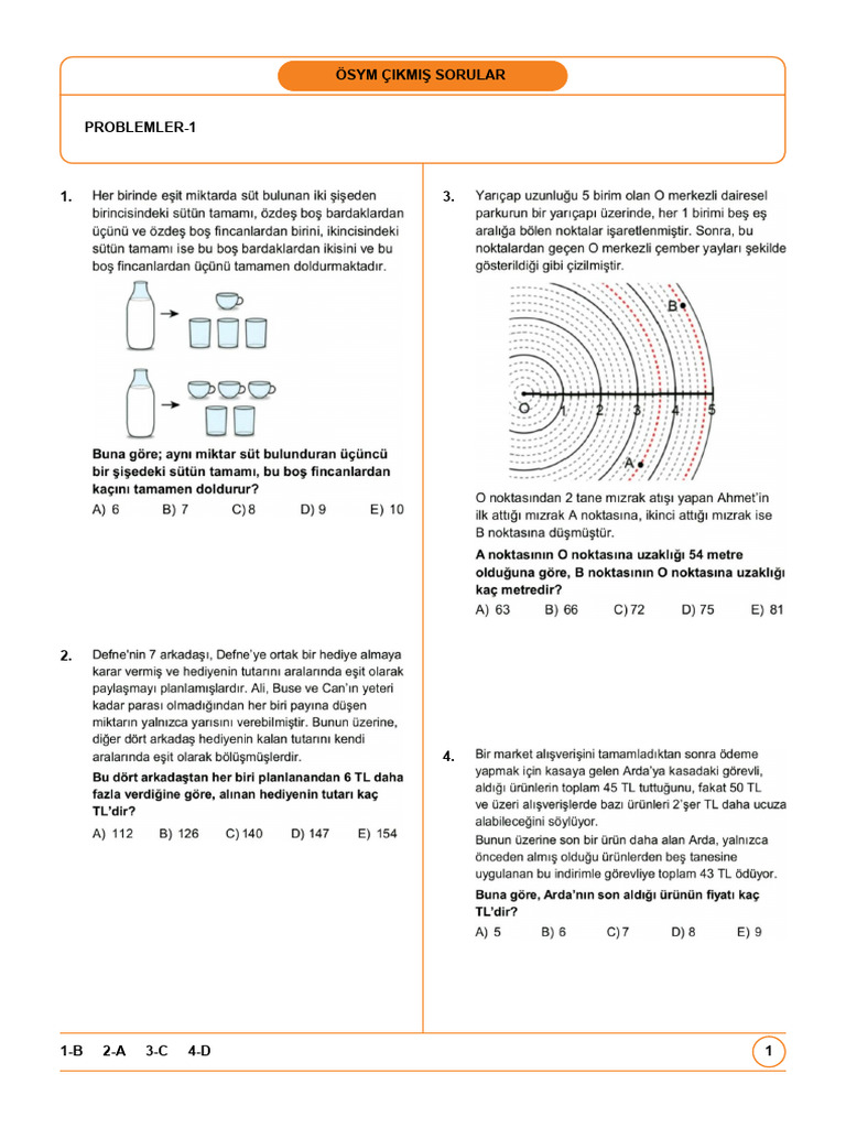 Problemler Cikmis Sorular - 241212 - 182339 | PDF