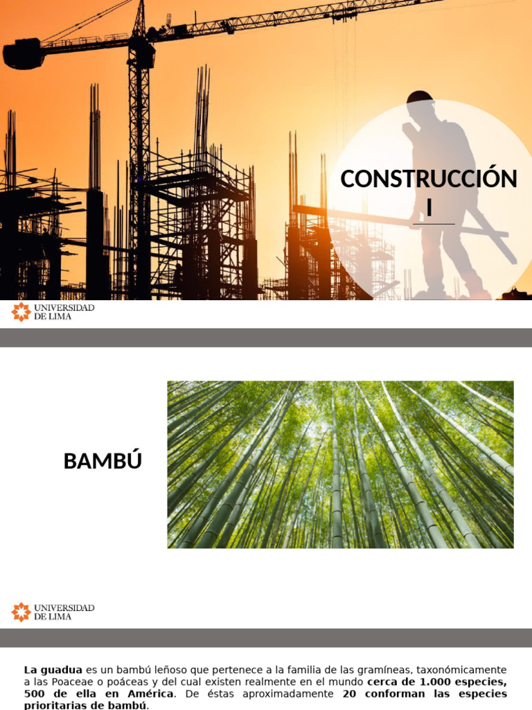 Construcción Sostenible con Bambú | PDF | Selva
