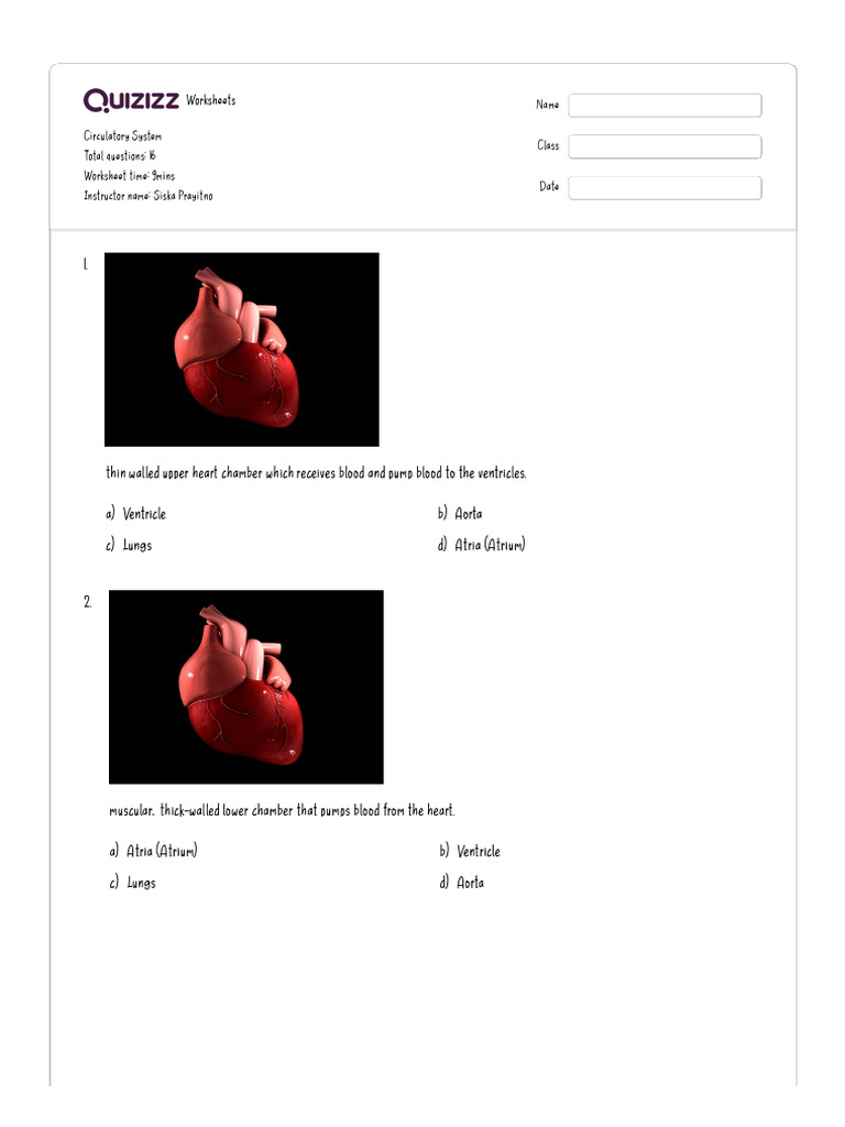 Circulatory System - Quizizz | PDF | Blood | Atrium (Heart)