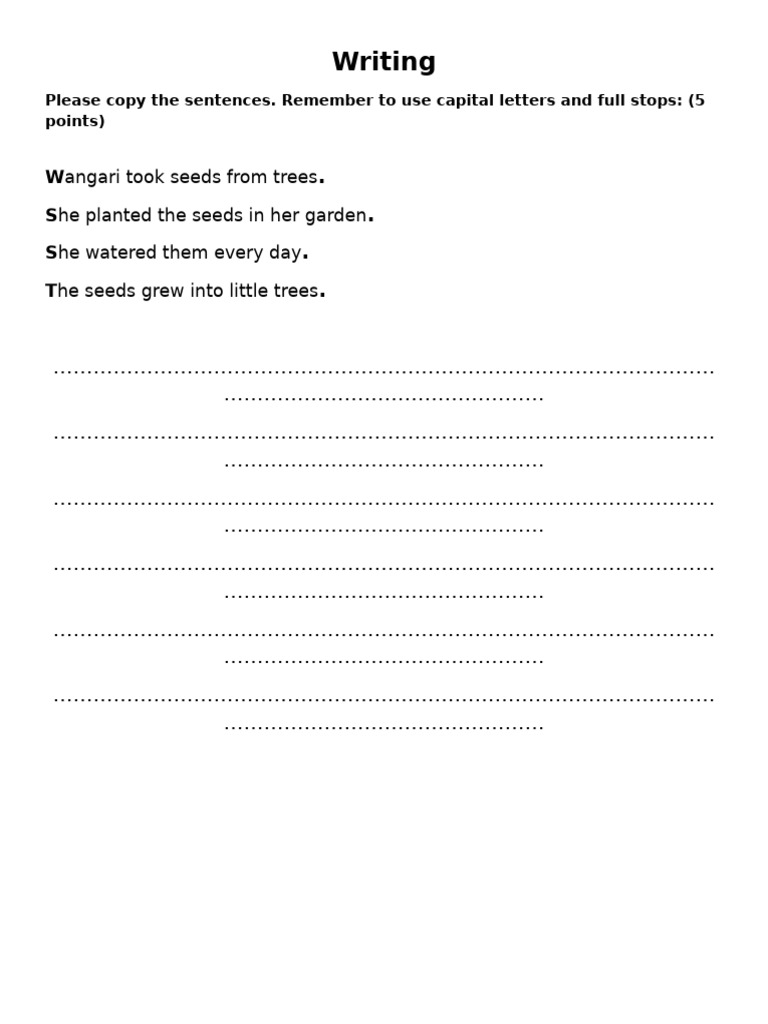 Sentence Copying Exercise | PDF