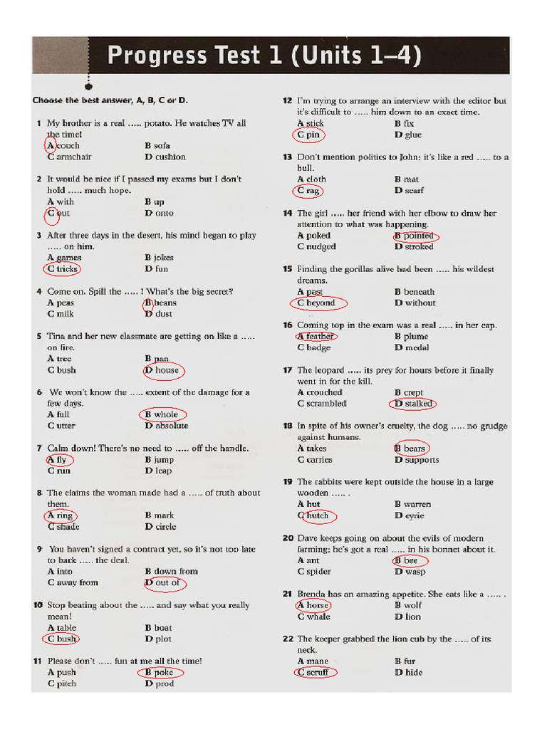Progress Test 1 | PDF