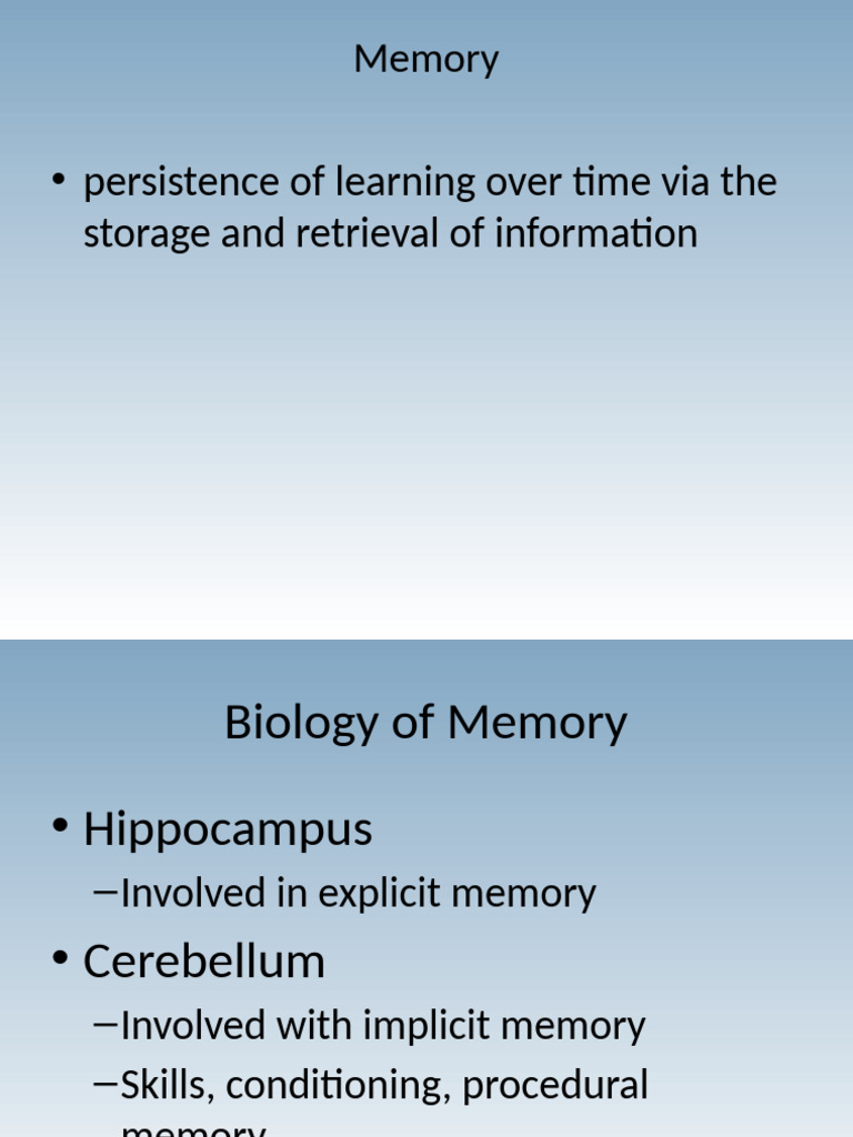 Memori | PDF | Memory | Long Term Memory