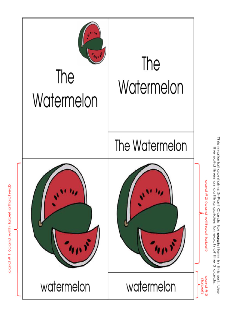 Watermelon Nomenclature Cards Guide | PDF