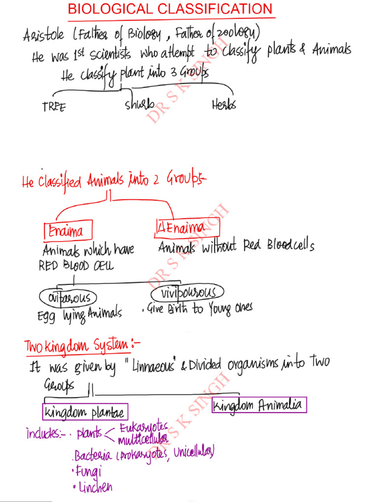 Chapter 2 Biological Classification | PDF