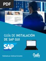 Manual de Instalación Sap Logon Windows | PDF