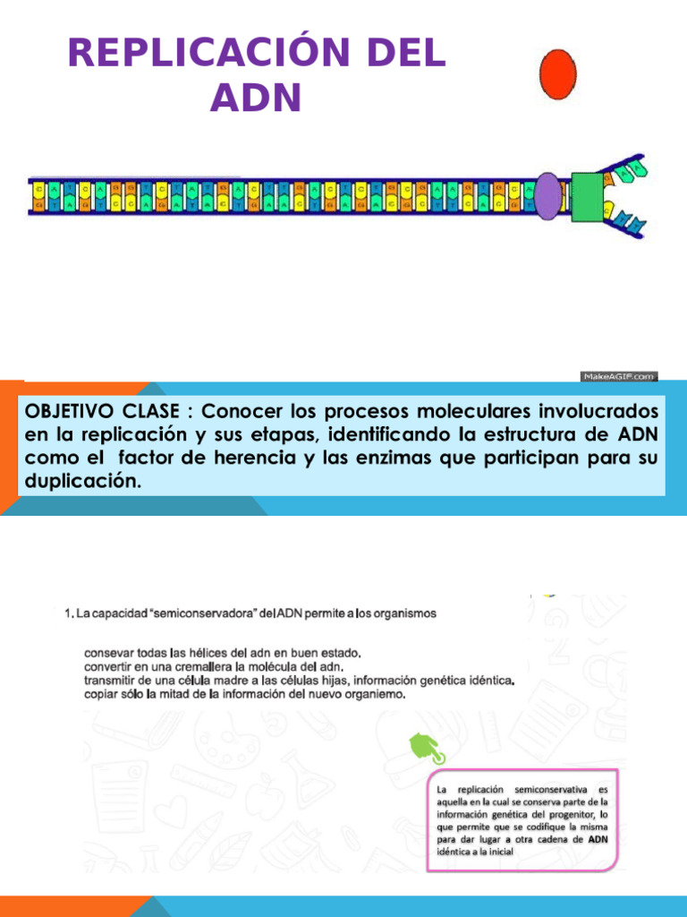 BIOLOGIA | PDF | Replicación De Adn | Adn