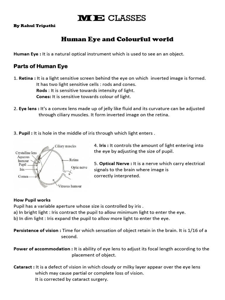 HumanEyeNotes | PDF | Eye | Sunset