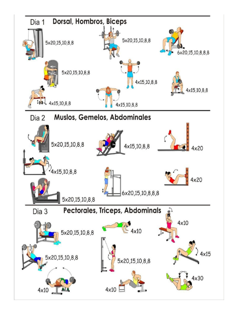 Rutinas Gmnasio | PDF
