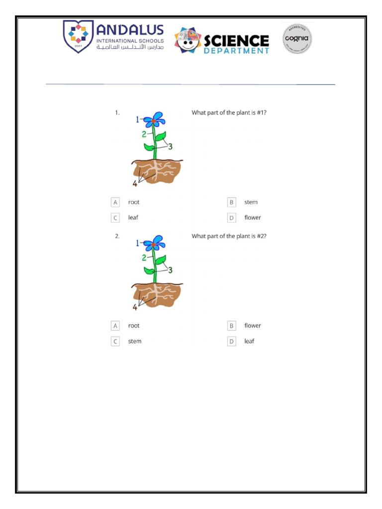Copy of U3_M1_L1_- Survival of Organisms. With Answers | PDF