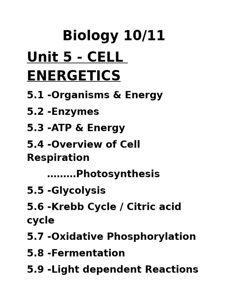 Unit 5 Coverpage - Cell Energetics | PDF
