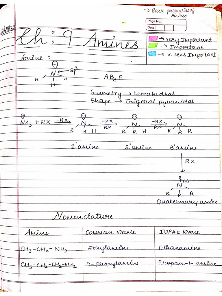 Amines PDF | PDF