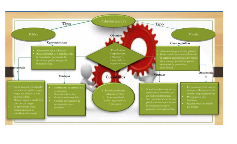 Mapa Mental Admon | PDF