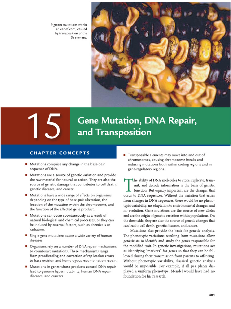 Mutations DNA Repair and Transposition | PDF